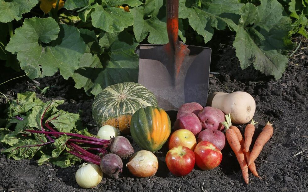 How to Design a Beautiful Edible Garden – LORI DENNIS