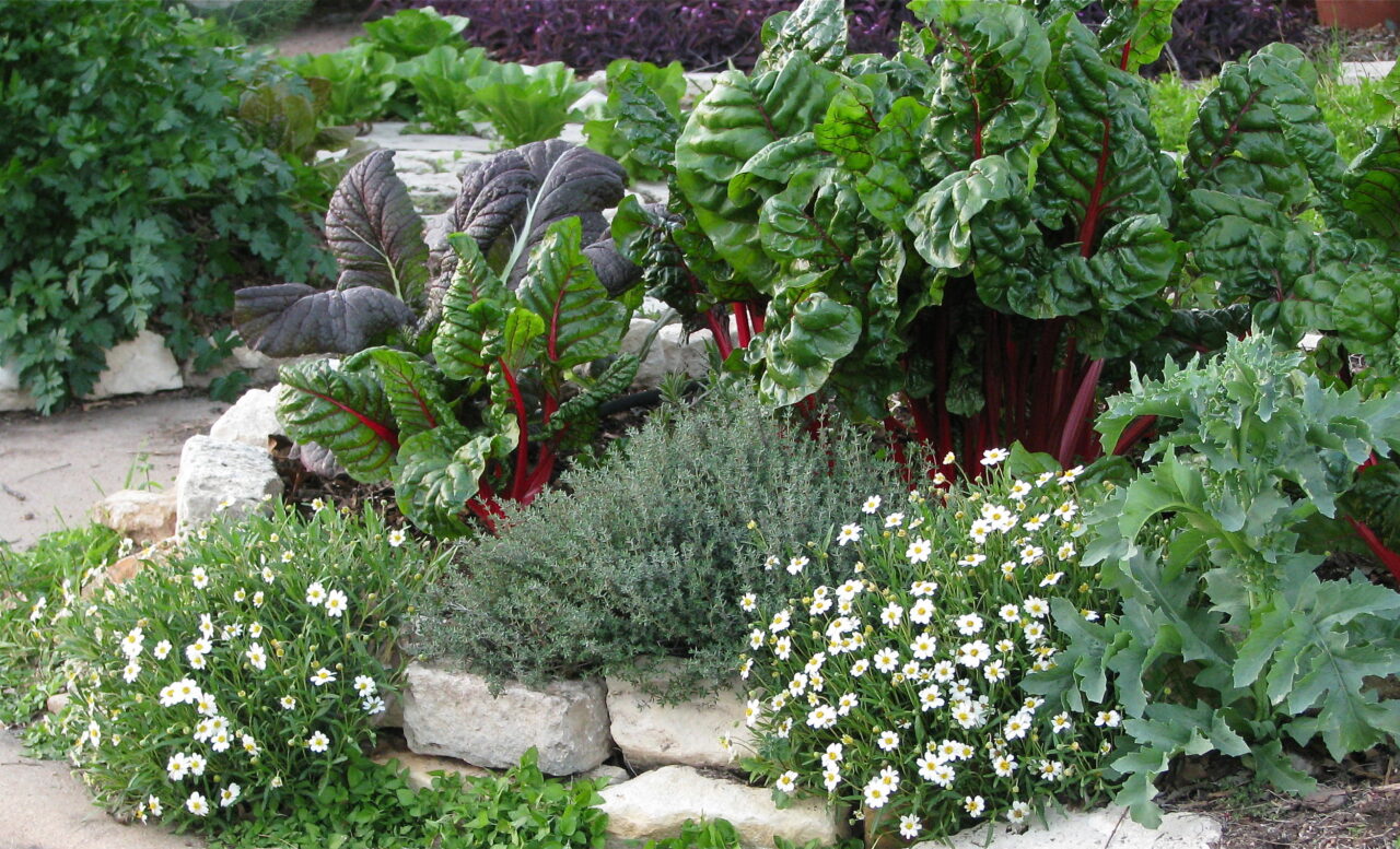How to Design a Beautiful Edible Garden – LORI DENNIS